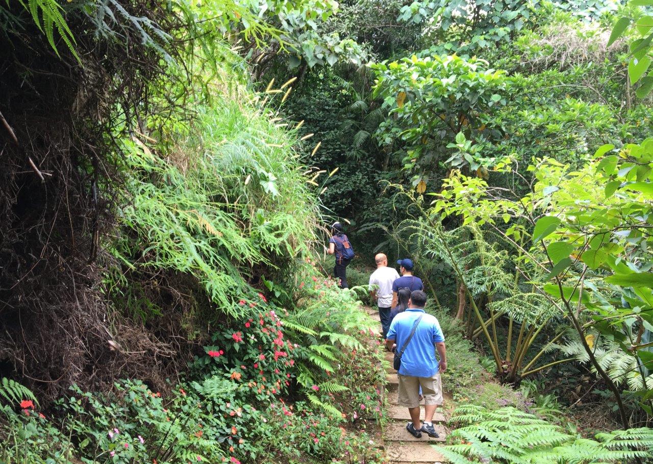 Team Building venue : Haranah Eco Park (Tanay, Rizal)