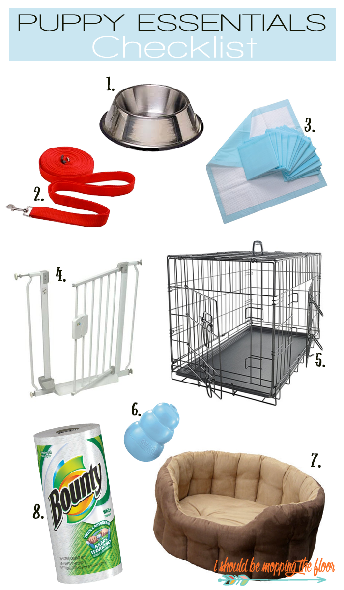 New Pet Essentials Checklist | i should be mopping the floor