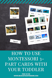 How to use the Montessori 3-Part Cards