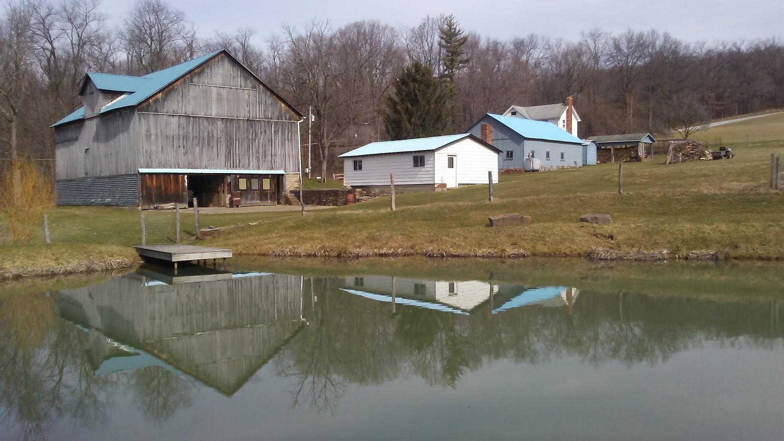 Valley Brook Farm: Pond