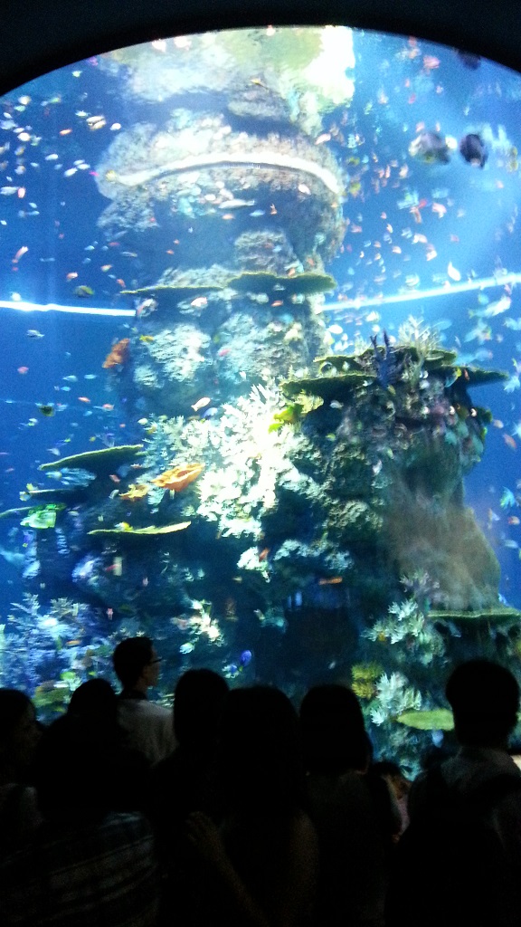 The Unforgettable Travel Accounts: The amazing experience at SEA ...