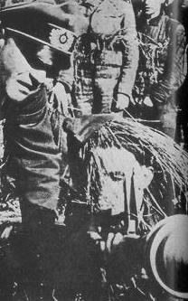 Neues Europa: Werwolf