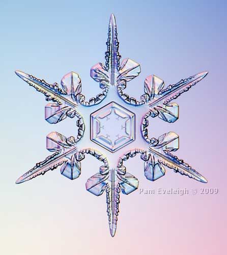Heraldry of Life: ART with REAL SNOWFLAKES