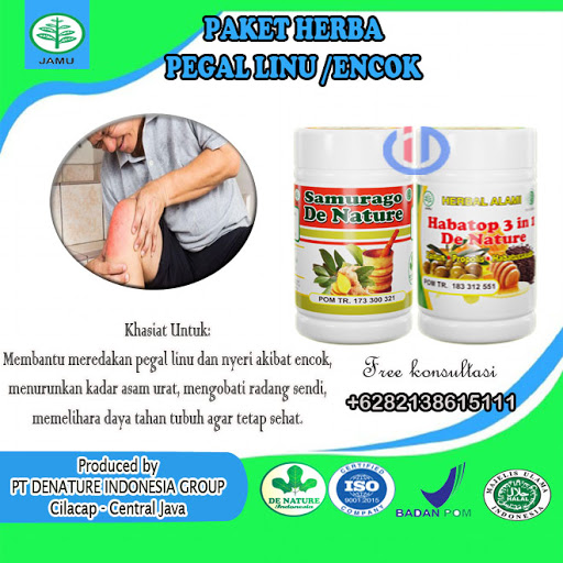 Obat Encok Bagus Tradisional dari Tumbuhan