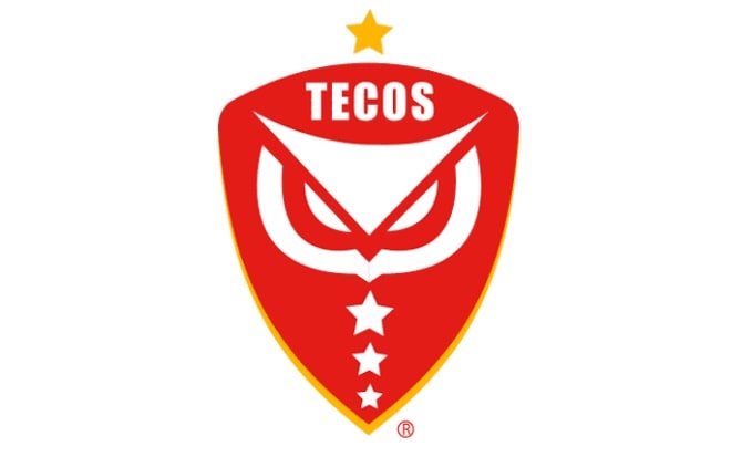 Tecos celebra 50 años en el futbol profesional con atractivo partido ...