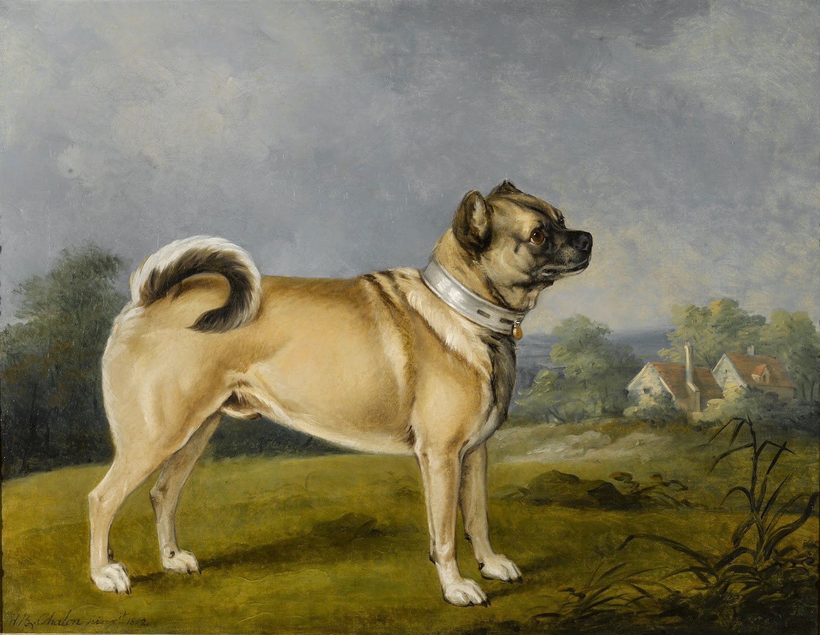 PUG - A HISTÓRIA DA RAÇA ~ Web Pug