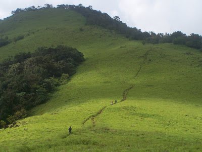 Travel Through Kerala: Paithalmala : An enchanting hill station for ...