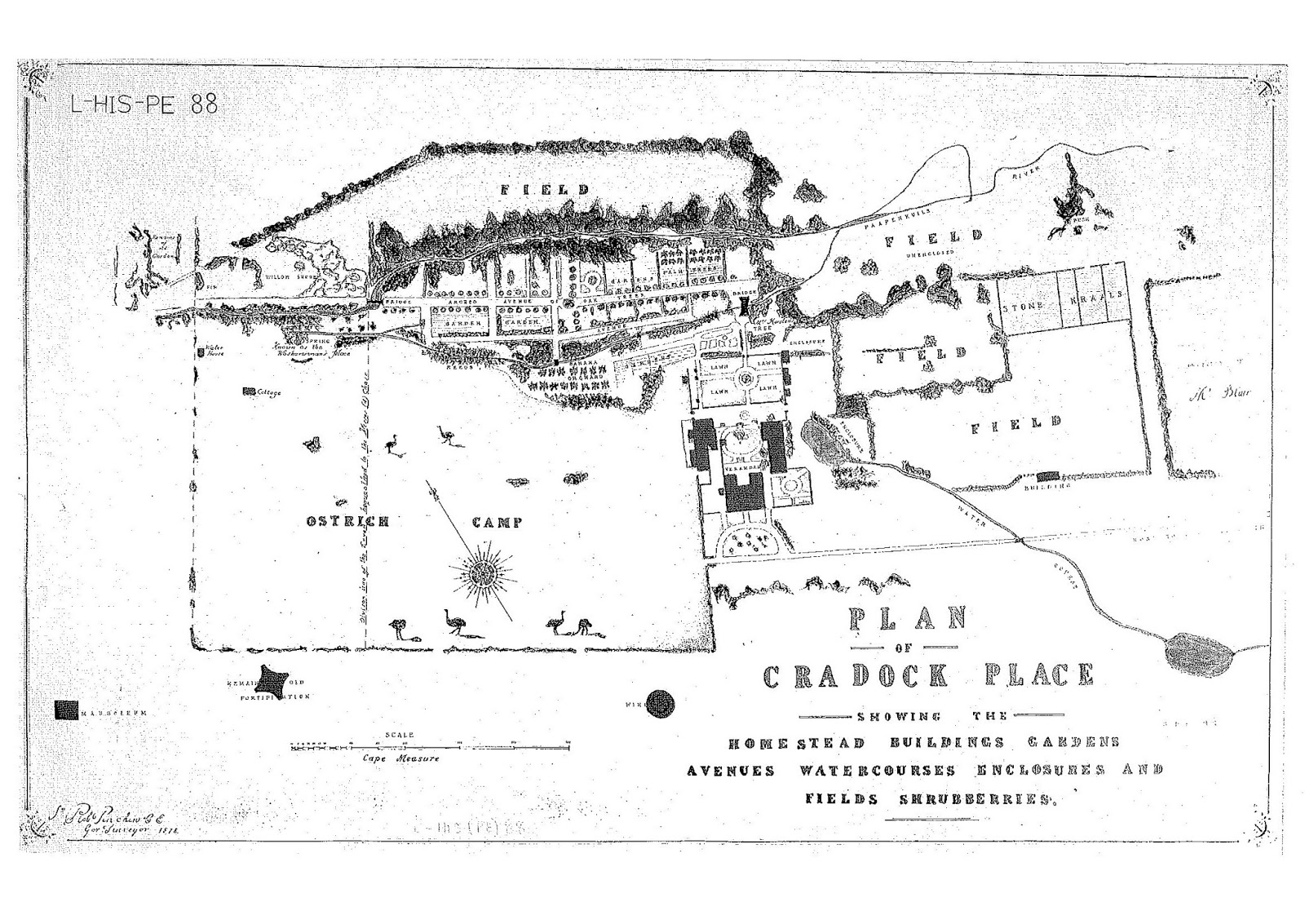 Then and Now – Cradock Place – Featured Blog