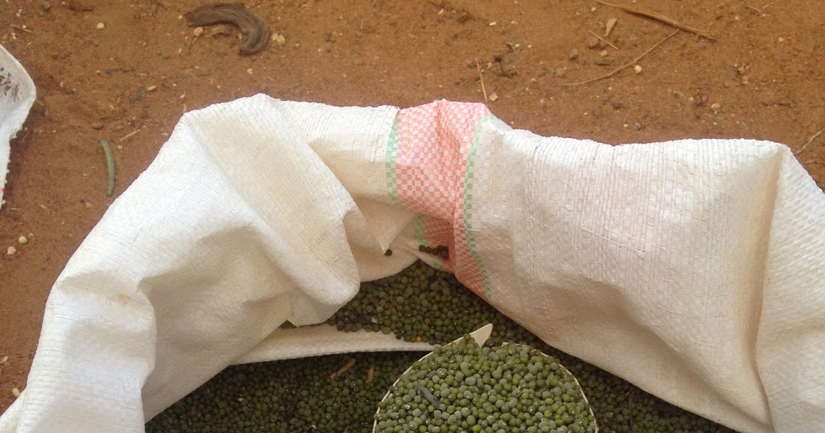 Cochrane in Kenya: November Update