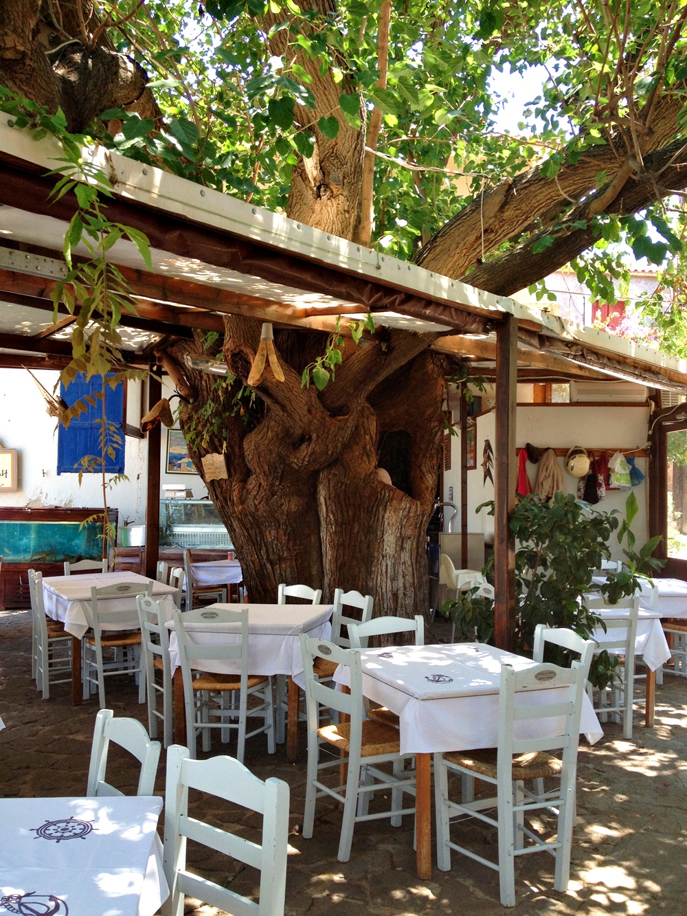 Ayse's World: Midilli - 2