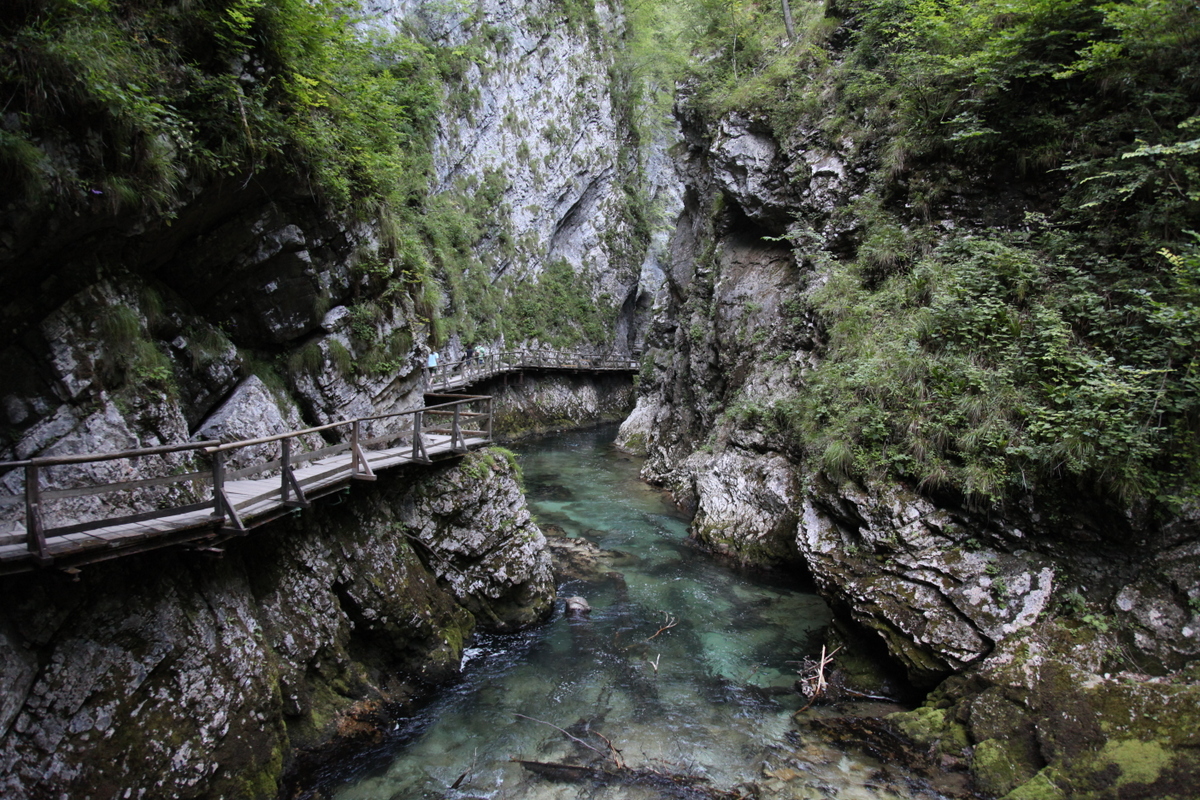 agriss.lv dienasgrāmata