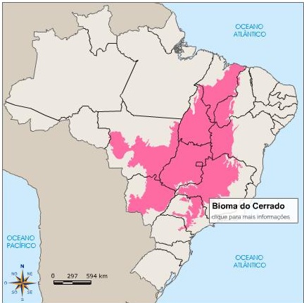 Biomas do Brasil: CERRADO