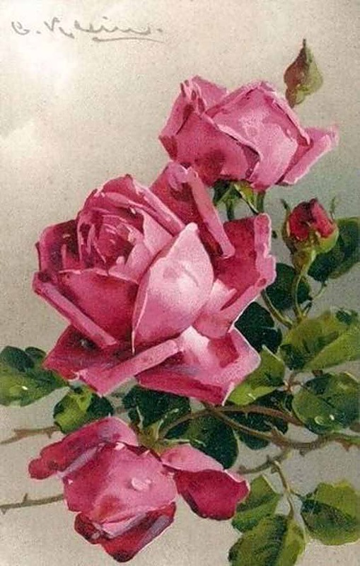 Alenquerensis: Catherine Klein (1861 - 1929) - A pintora das rosas ...