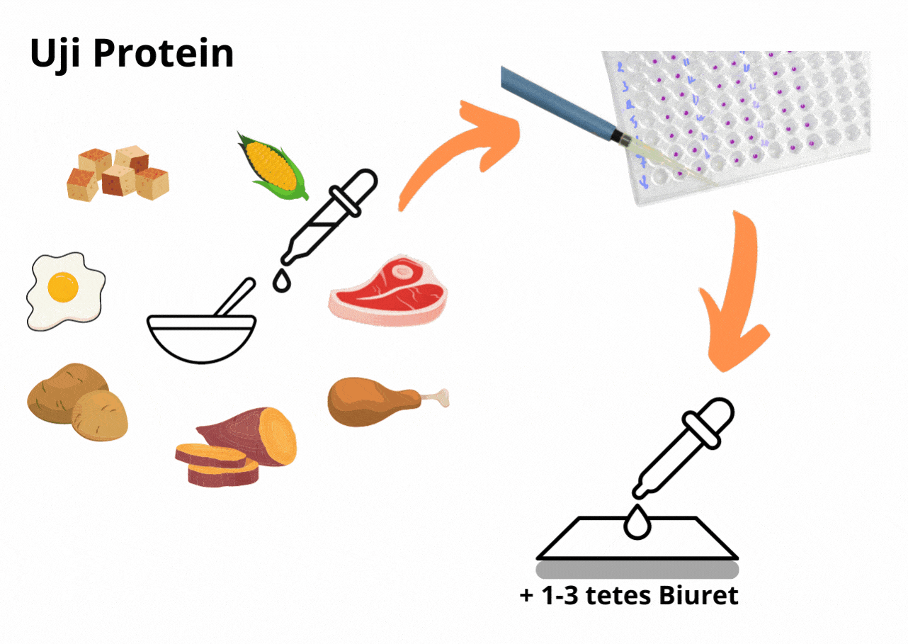 Uji Makanan karbohidrat, protein ,lemak - GURU SUMEDANG