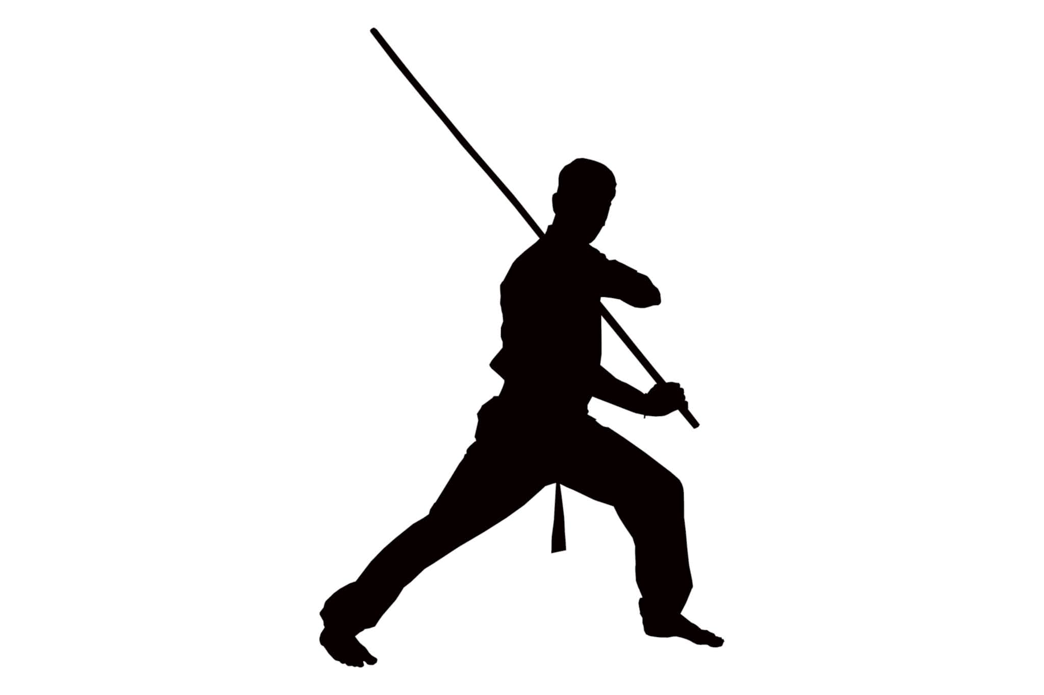 Panchabootha International Martial Arts Academy: Silambam Clipart , vector