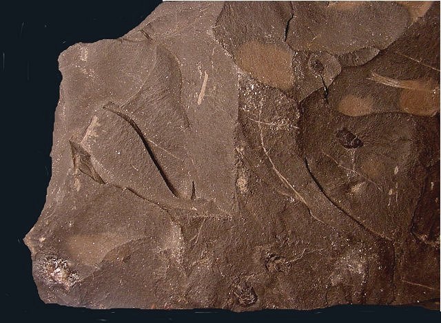 CIVIL ENGINEERING BLOG: BM