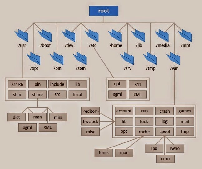 Linux for freshers: FILE SYSTEM HIERARCHY