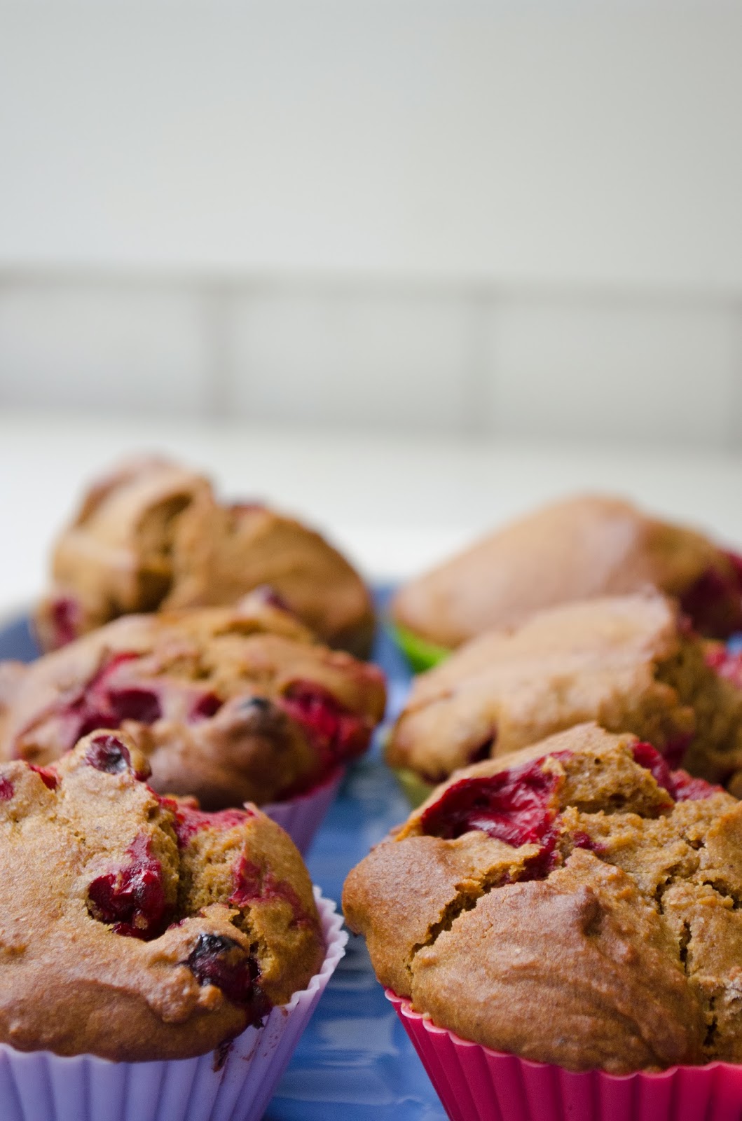 Aesthetic Fauna: Speculoos Cranberry Pumpkin Muffins