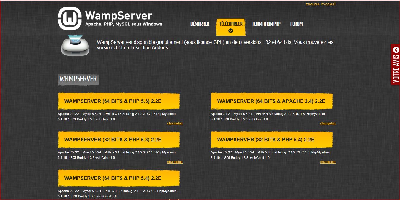 WAMP Server Installation WAMP Server Installation