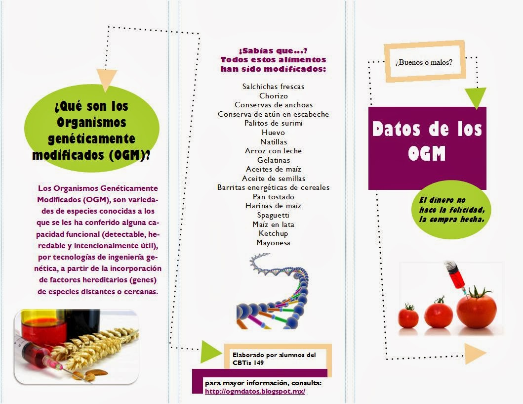 Organismos genéticamente modificados : Ejemplos de OGM