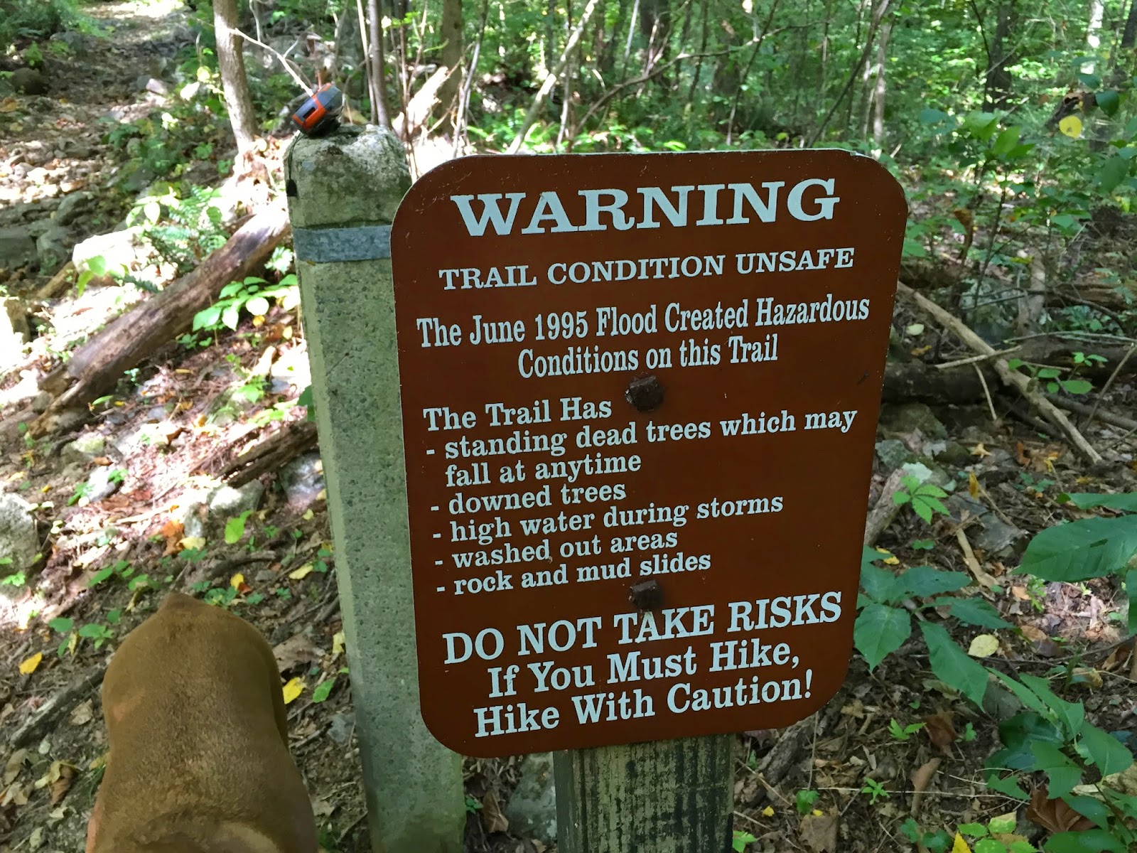 Wandering Virginia: Shenandoah's Pocosin Hollow Trail