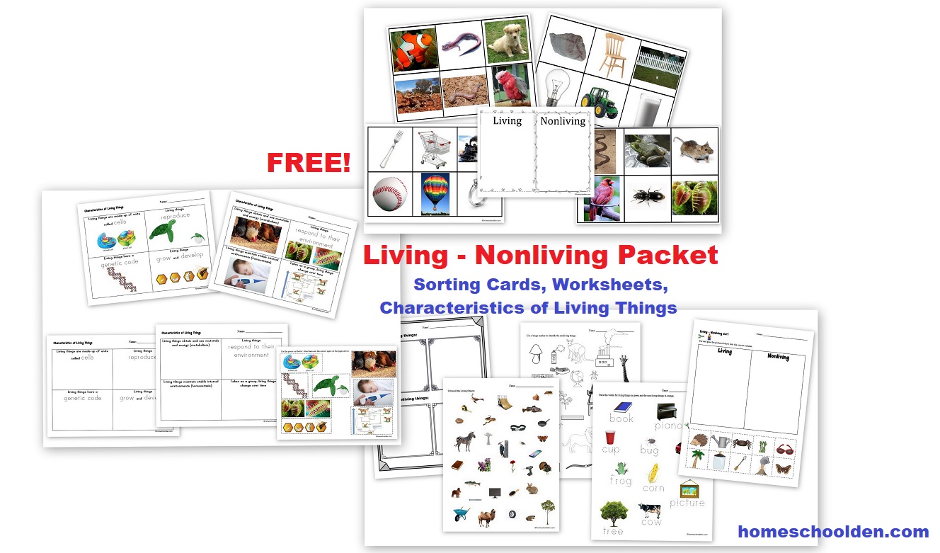 The Homeschool Den: Living and Non Living Sorting Activities