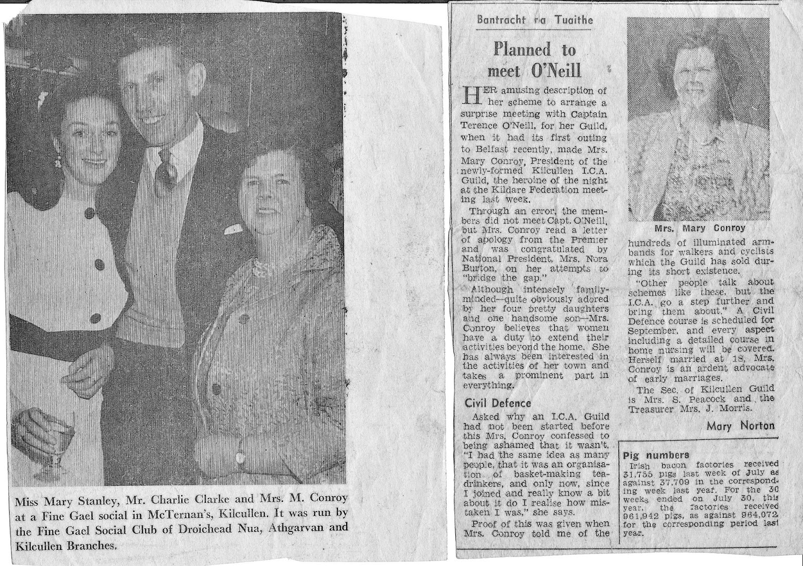 Kilcullen Diary: Looking Back: Mary Conroy and Kilcullen ICA