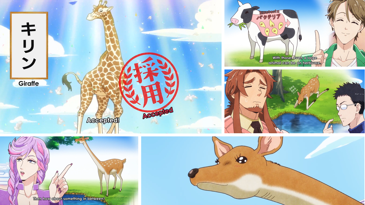 5 Prinsip Desain Produk dari Anime Heaven's Design Team