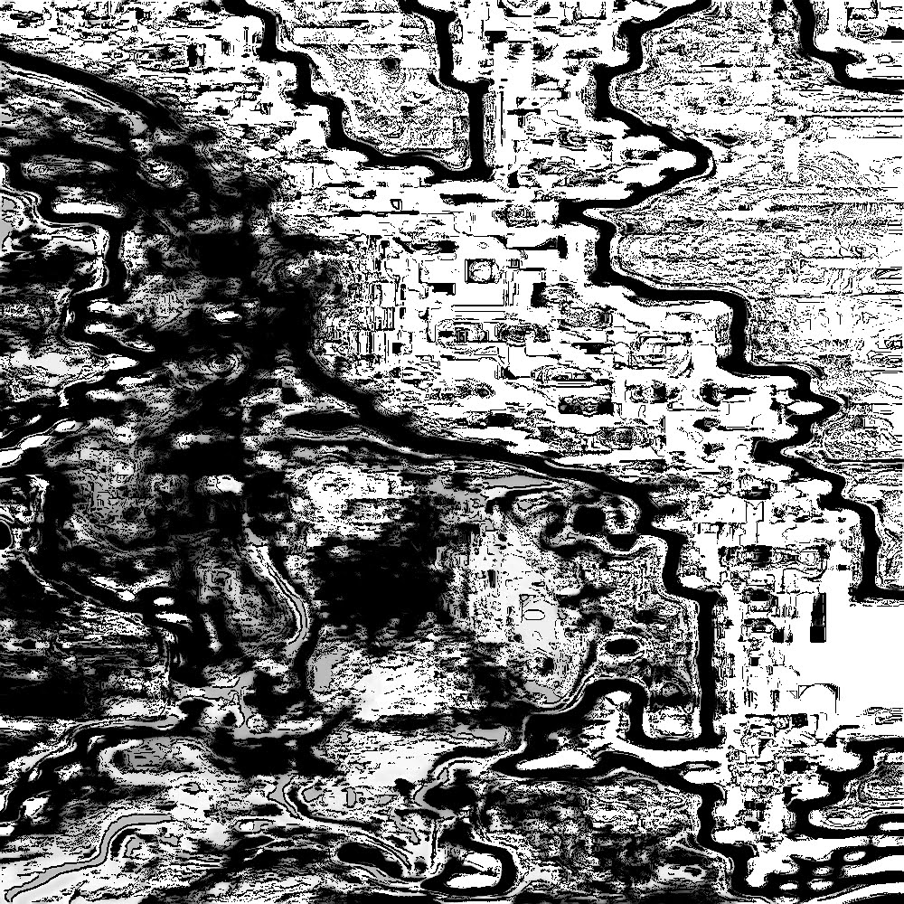 Nothing and Insight: lotch