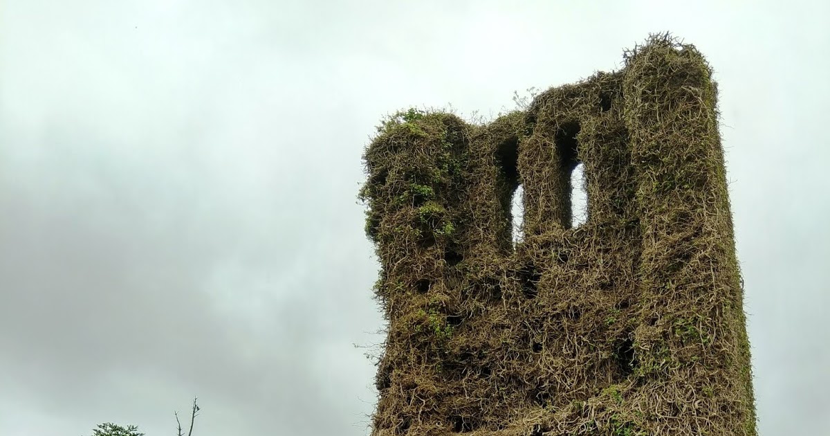 Ireland In Ruins: Old Nobber Church Co Meath