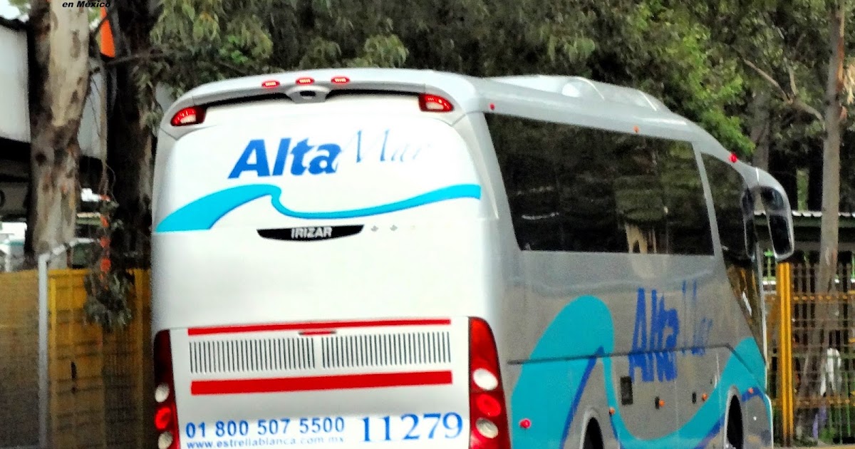 Alta Mar, la línea que ya esta mejorando con su nueva administración