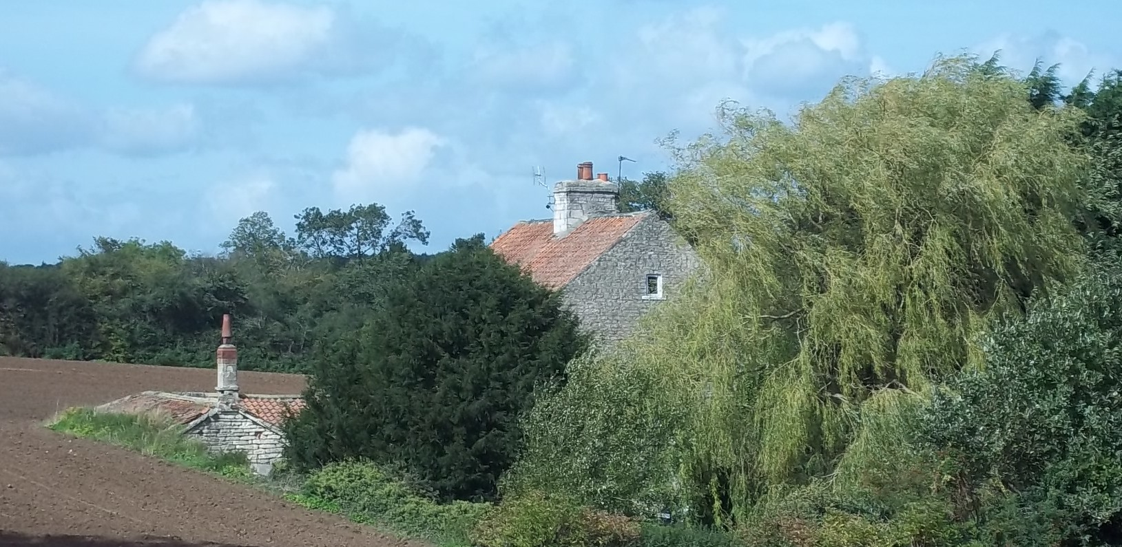 Walking The Peak: Braithwell, Maltby, Roche Abbey, Stone, Firbeck, and ...