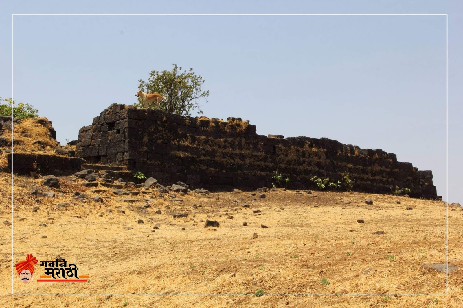 किल्ले कुंजरगड / कोंबडा किल्ला (Kunjargad)