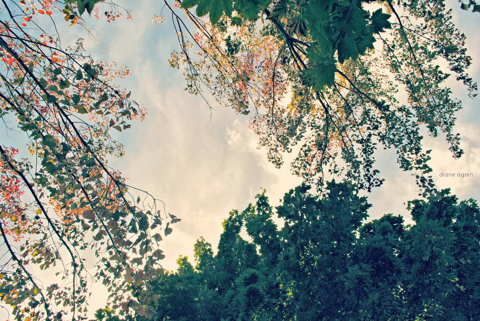 Diane Again: September Sunshine