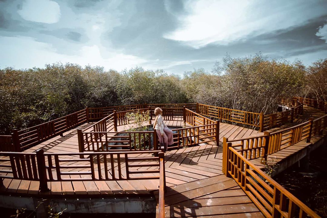 Tiket Masuk dan Lokasi Wisata Mangrove Gunung Anyar Surabaya