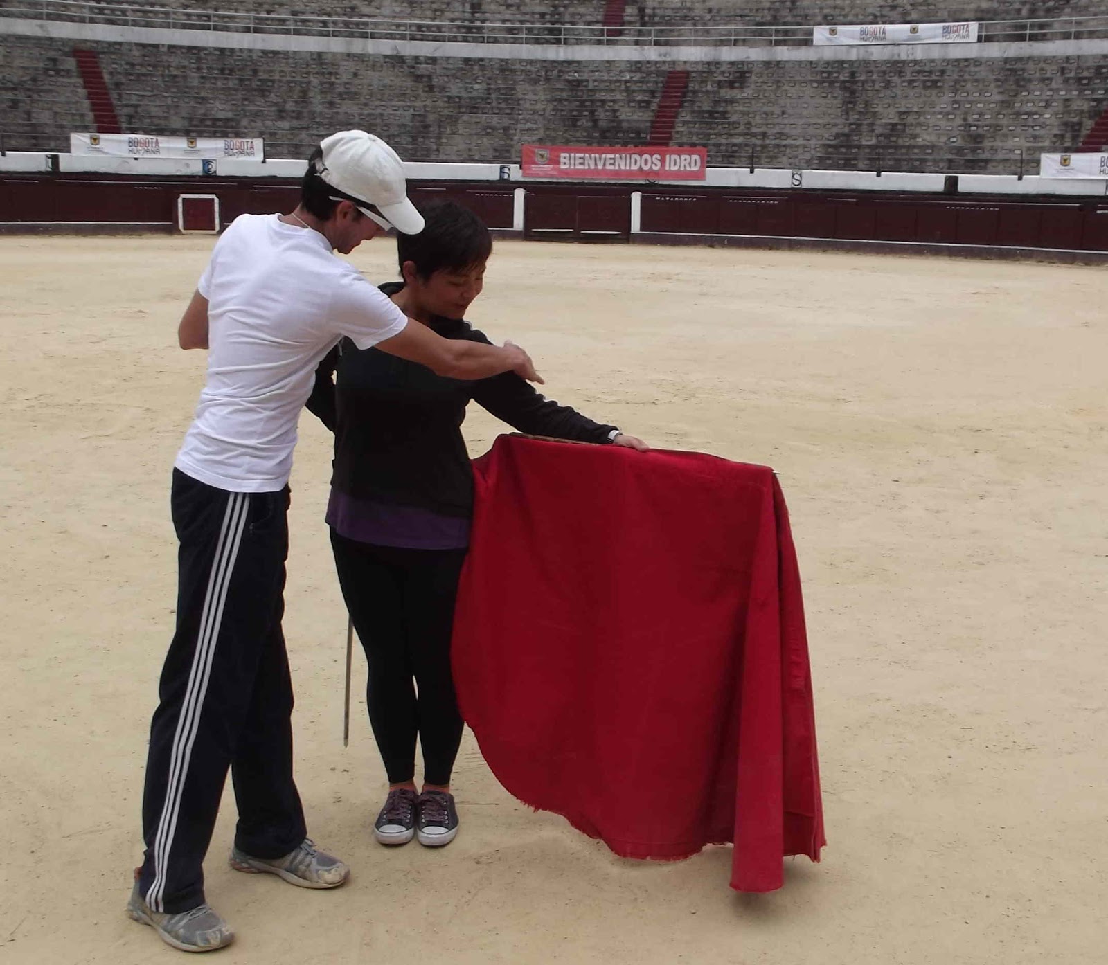 Mike's Bogota Blog: Is Bullfighting Back for Bogotá?