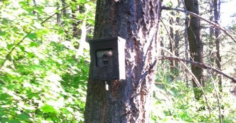 Idaho Pursuit: DIY Trail Camera Safety/Bear Box