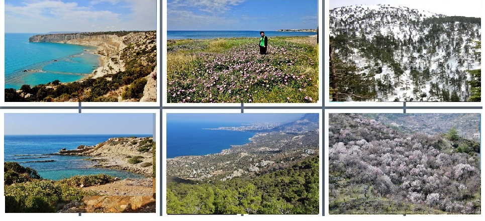 Biodiversity of Cyprus by NGO Protection of the Natural Heritage and ...