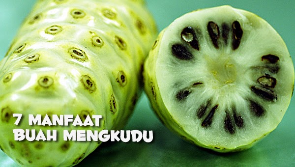 7 Manfaat Sehat Buah Mengkudu