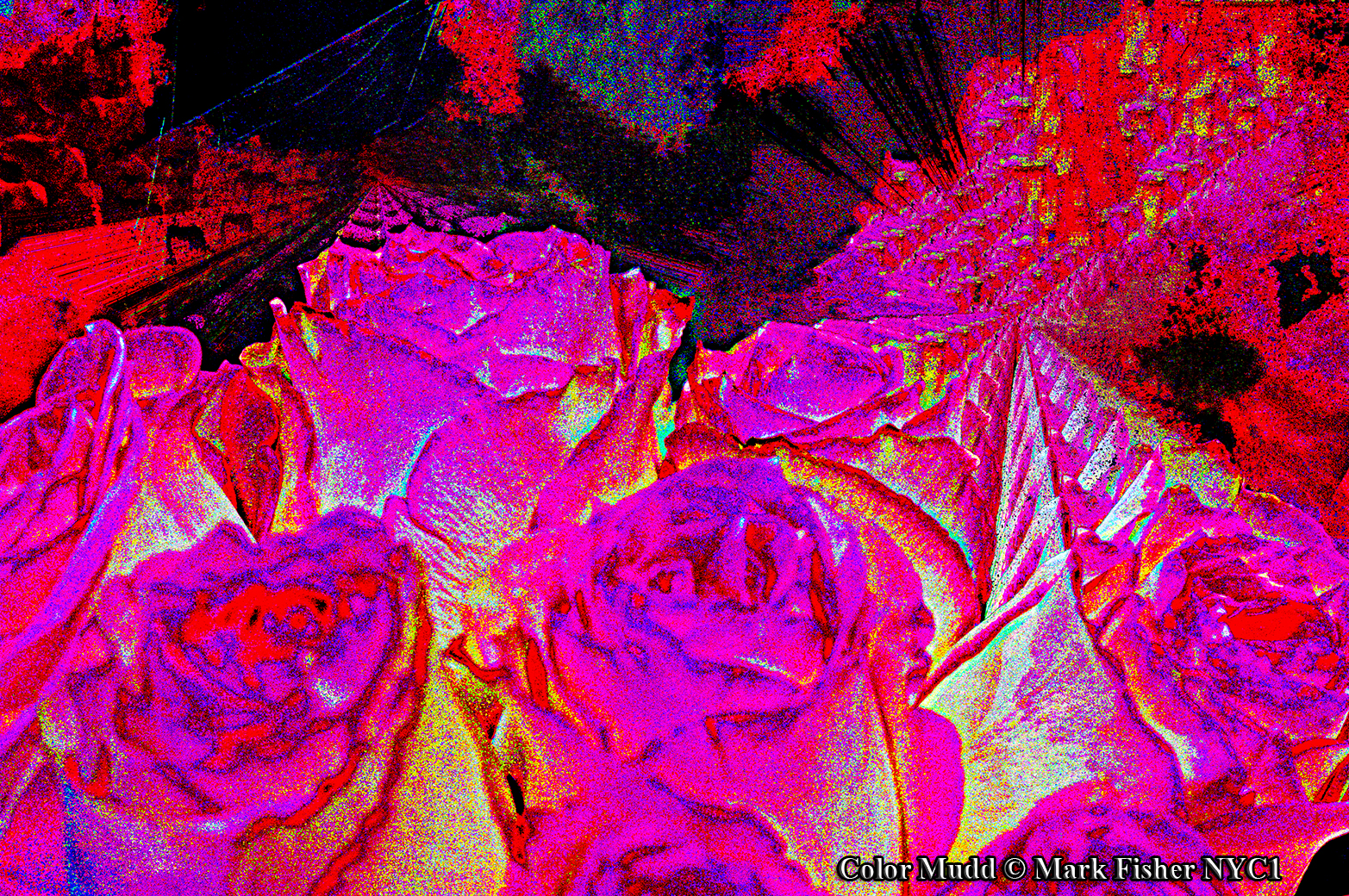 Beyond The Image™: Color Mudd • American Photographer Mark Fisher • A ...