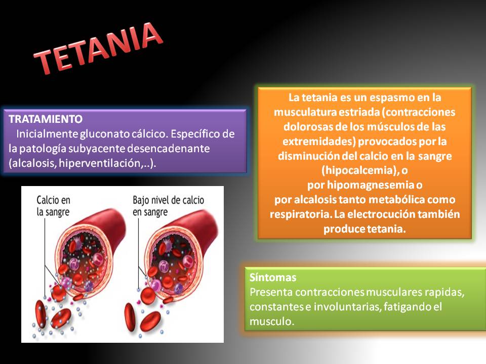 FISIOLOGIA BASICA: conceptos de tetania fatiga muscular etc.