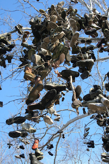 The Carpetbagger: My Quest for a Shoe Tree