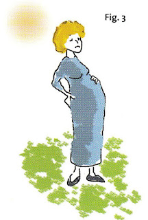 Centro de Reeducación Postural BIHOTZA: Dolor Lumbar durante el ...