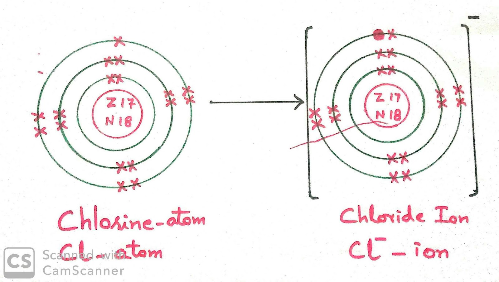 Ionic( cation and anion) size difference from neutral parent atom?