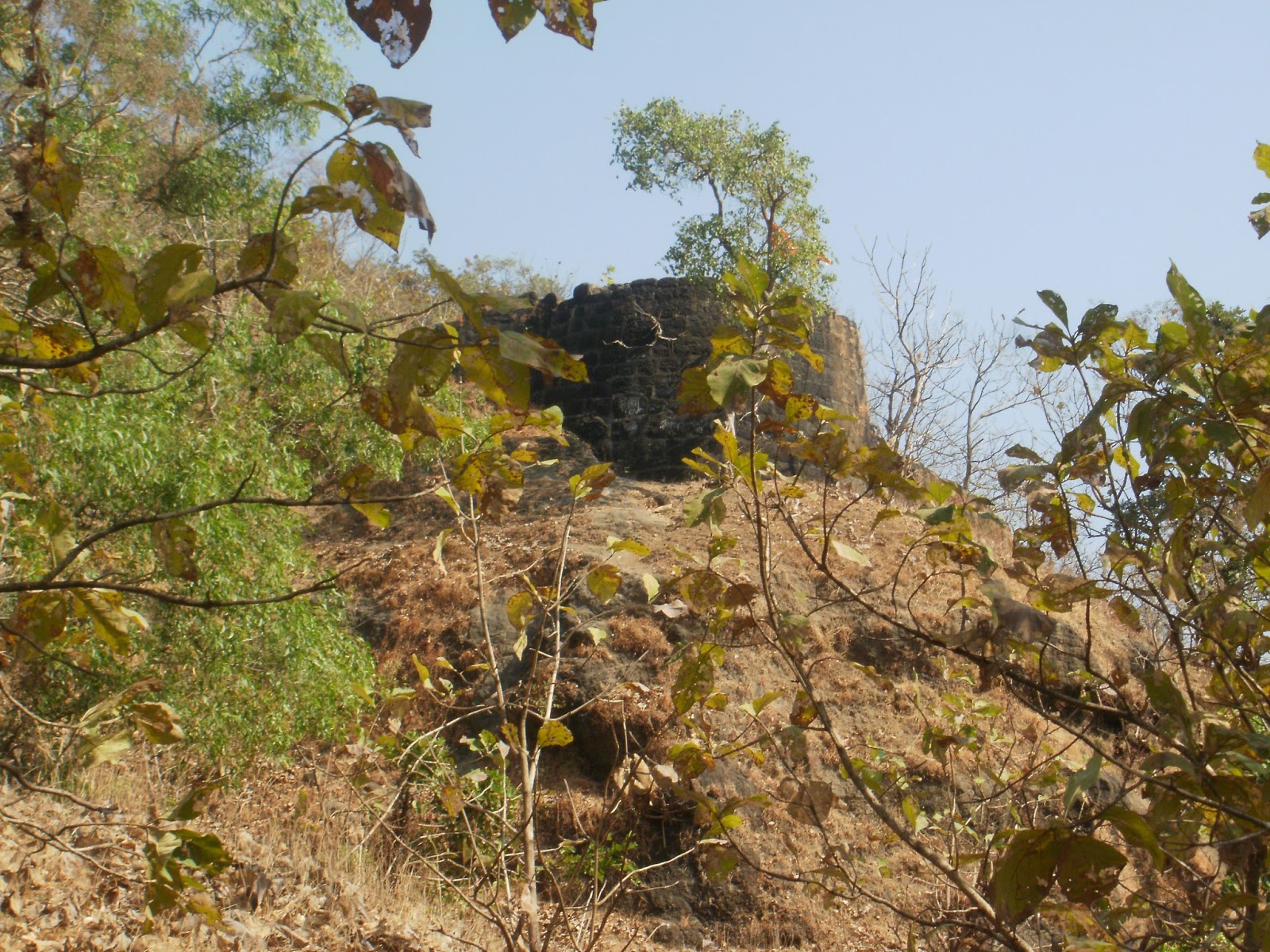 Anurag's Corner: AvchitGad-Birwadi Fort-GhosalGad-TalaGad-Kuda Caves ...