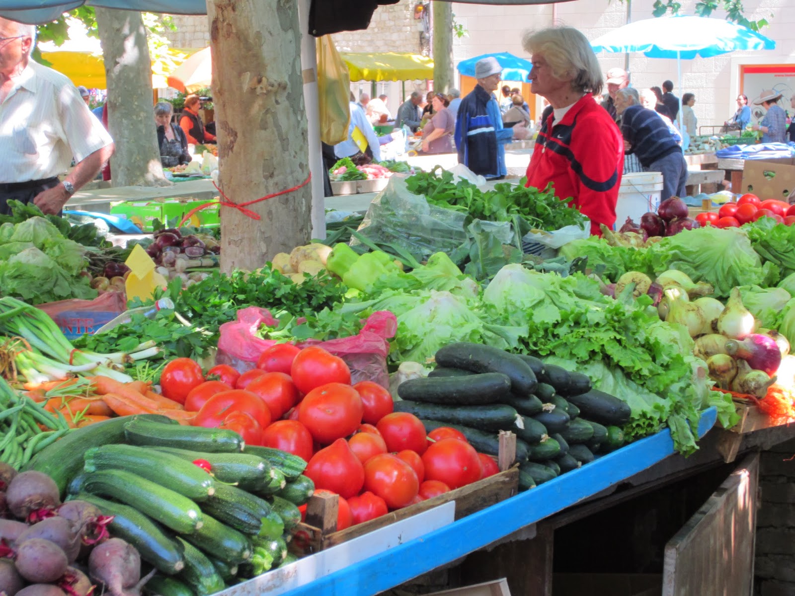 Souvenir Chronicles: SPLIT, CROATIA: A CIRCUITOUS JOURNEY AND AN ...