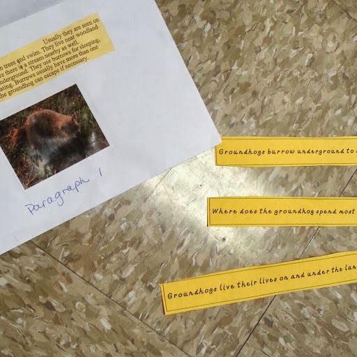 Class Organize: Informational Writing