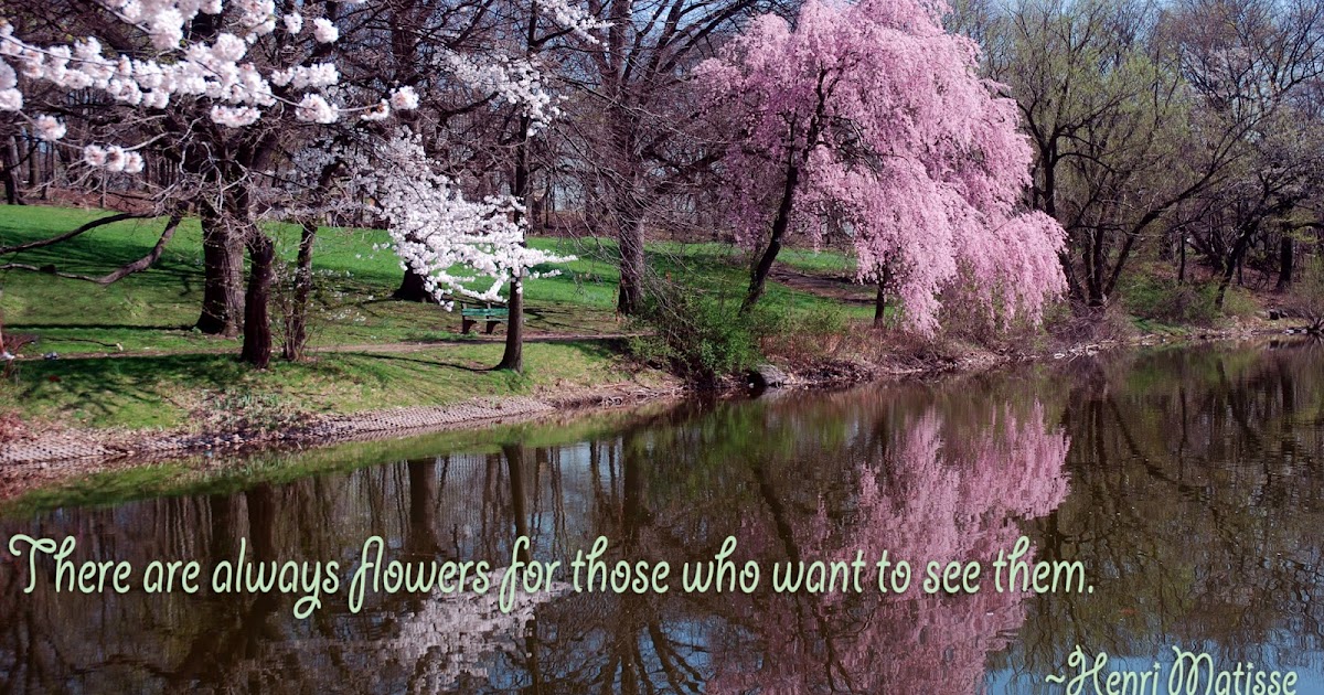 NATURE QUOTES WALLPAPER (HD) ~ noexit4u.com