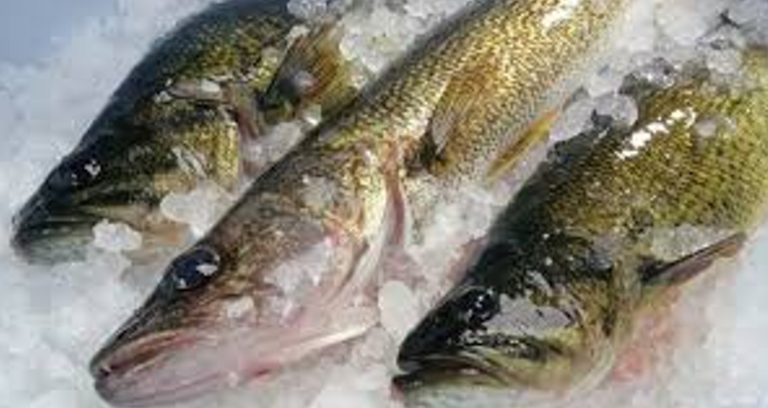 Ini loh Cara Bedakan Es Batu dari Air Mentah dan Air Matang | Barang ...