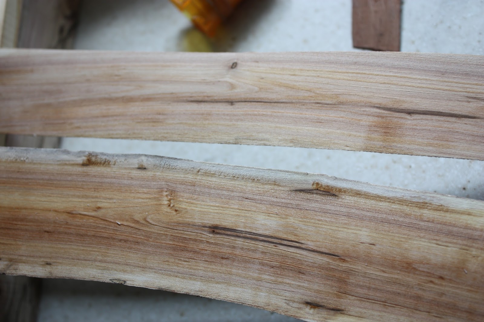 Wear the Warmth of Wood: Mulberry, Serviceberry, Chokecherry and Cherry